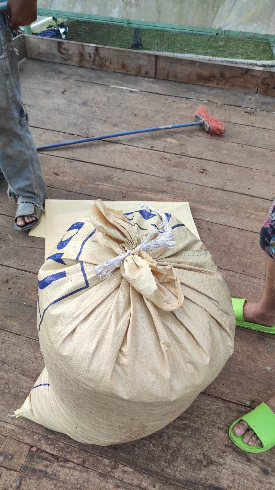 Understanding the Cacao Bean Fermentation Process - Plus Cacao