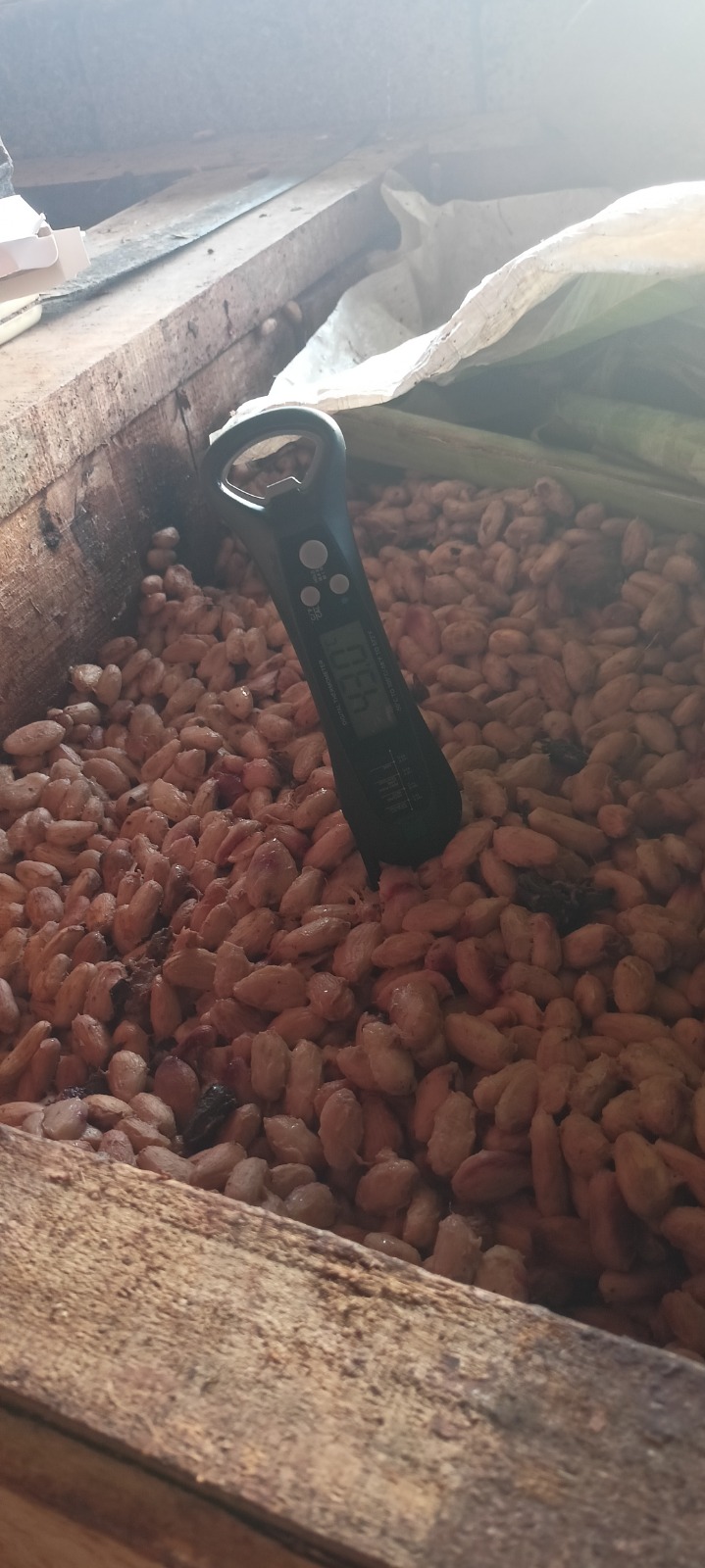 Understanding the Cacao Bean Fermentation Process - Plus Cacao