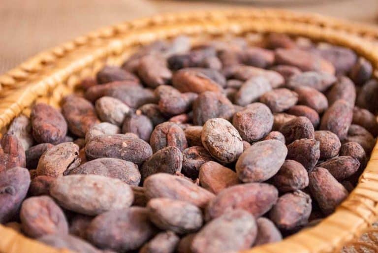 Varieties of Cacao beans - Plus Cacao